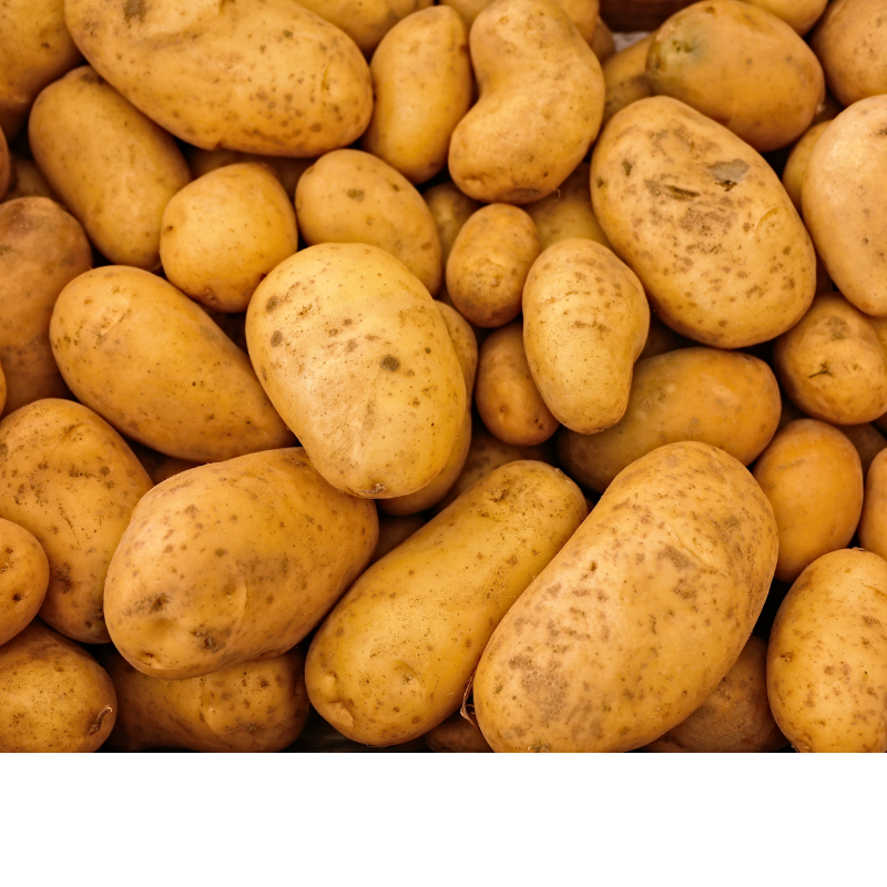 SAMMIC - EPLUCHEUSE PRO COMPACTE 100 KG/H - MONO